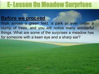 7_Meadow Surprises | PPTX