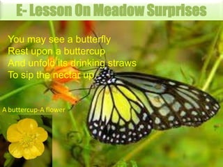 7_Meadow Surprises | PPTX