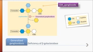 7 metabolism of complex lipid.ppt