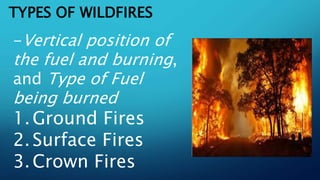 7 Module VII Fire Hazards1.pptx