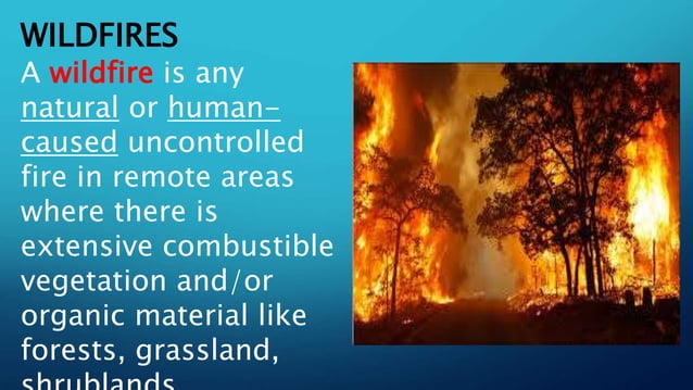 7 Module VII Fire Hazards1.pptx
