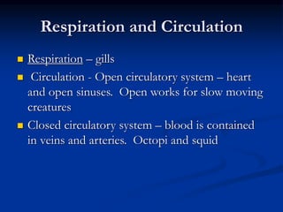 Molluska powerpoint.pptx