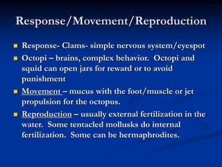 Molluska powerpoint.pptx