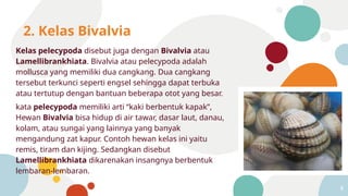 Filum Molusca, klasifikasi, contoh dan perananya dalam kehidupan | PPT