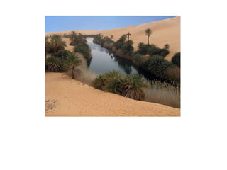 7 Most Beautiful Oases | PPT