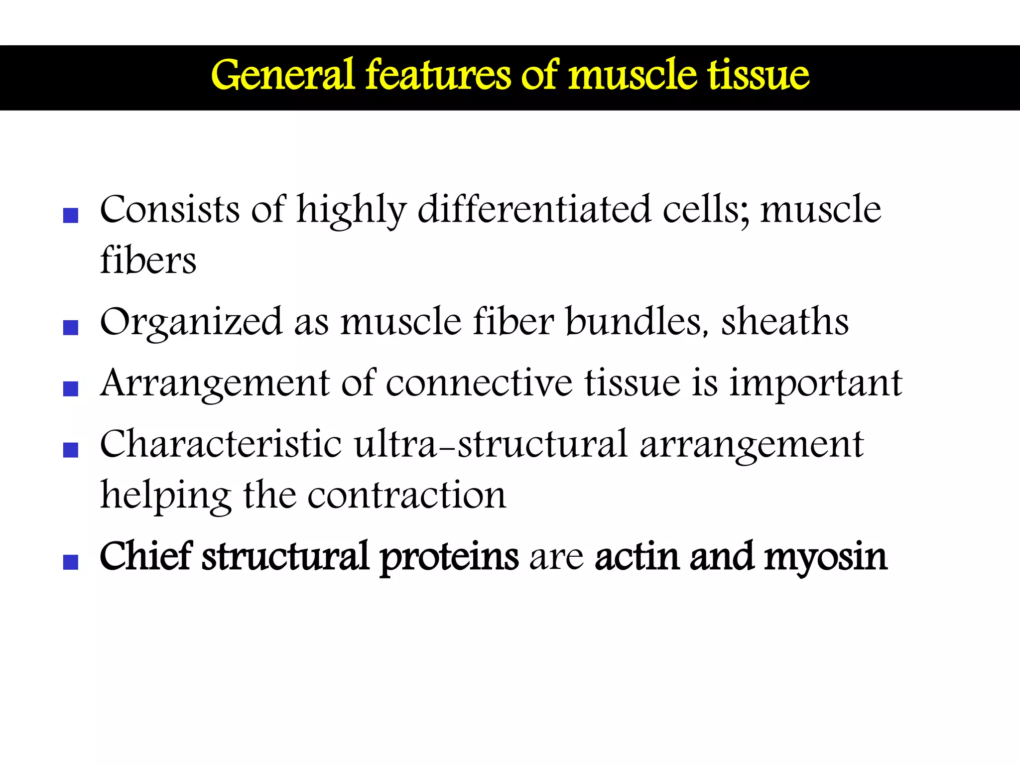 Muscle Tissue.pdf