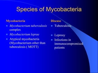 mycobacteria -TB.ppt- laboratory medicine | PPT