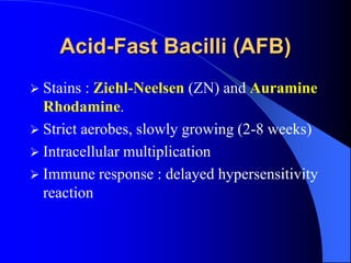 mycobacteria -TB.ppt- laboratory medicine | PPT