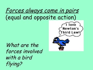 7 Newtons Third Law | PPT