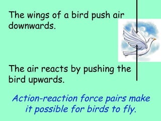 7 Newtons Third Law | PPT