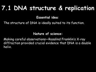 7 nucleic acids syllabus statements | PPT