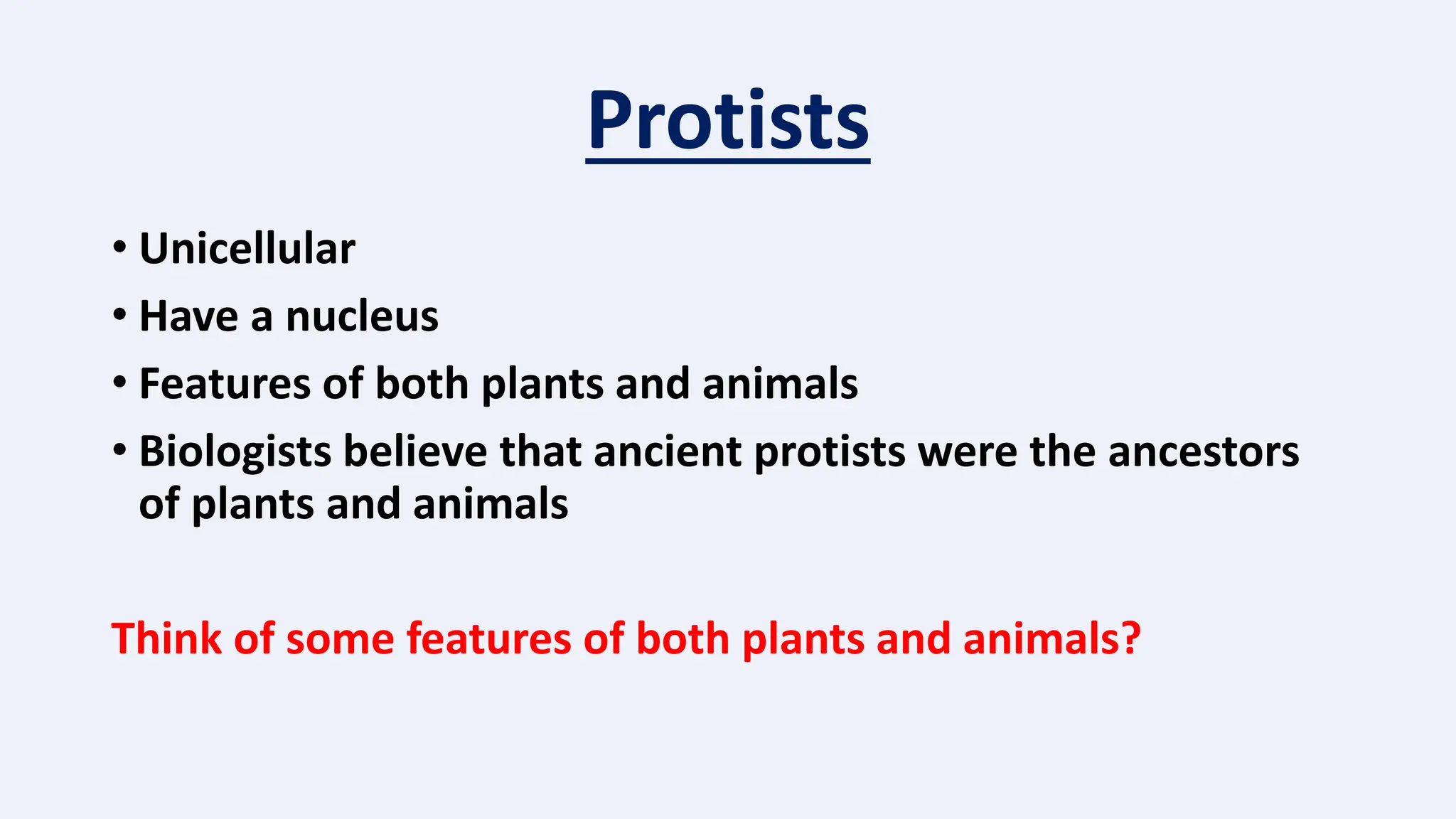 Biology_Characteristics of Protists.pptx