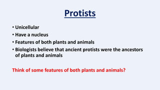 Biology_Characteristics of Protists.pptx