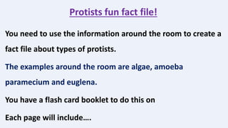 Biology_Characteristics of Protists.pptx