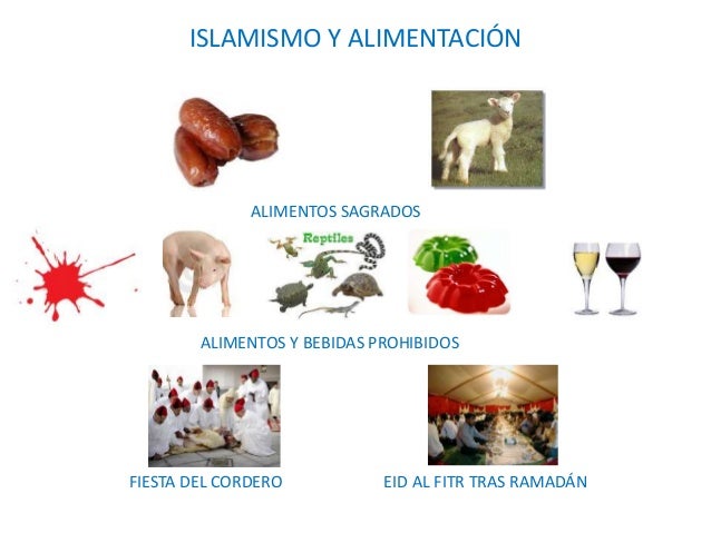 7 Alimentación y religión