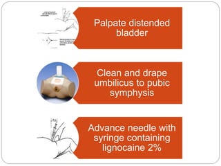 Bedside Procedure | PPTX