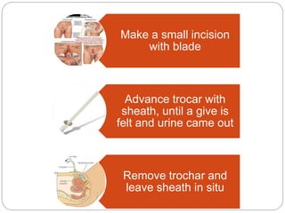 Bedside Procedure | PPTX