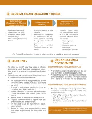 Organizational Transformation Onepager | PDF