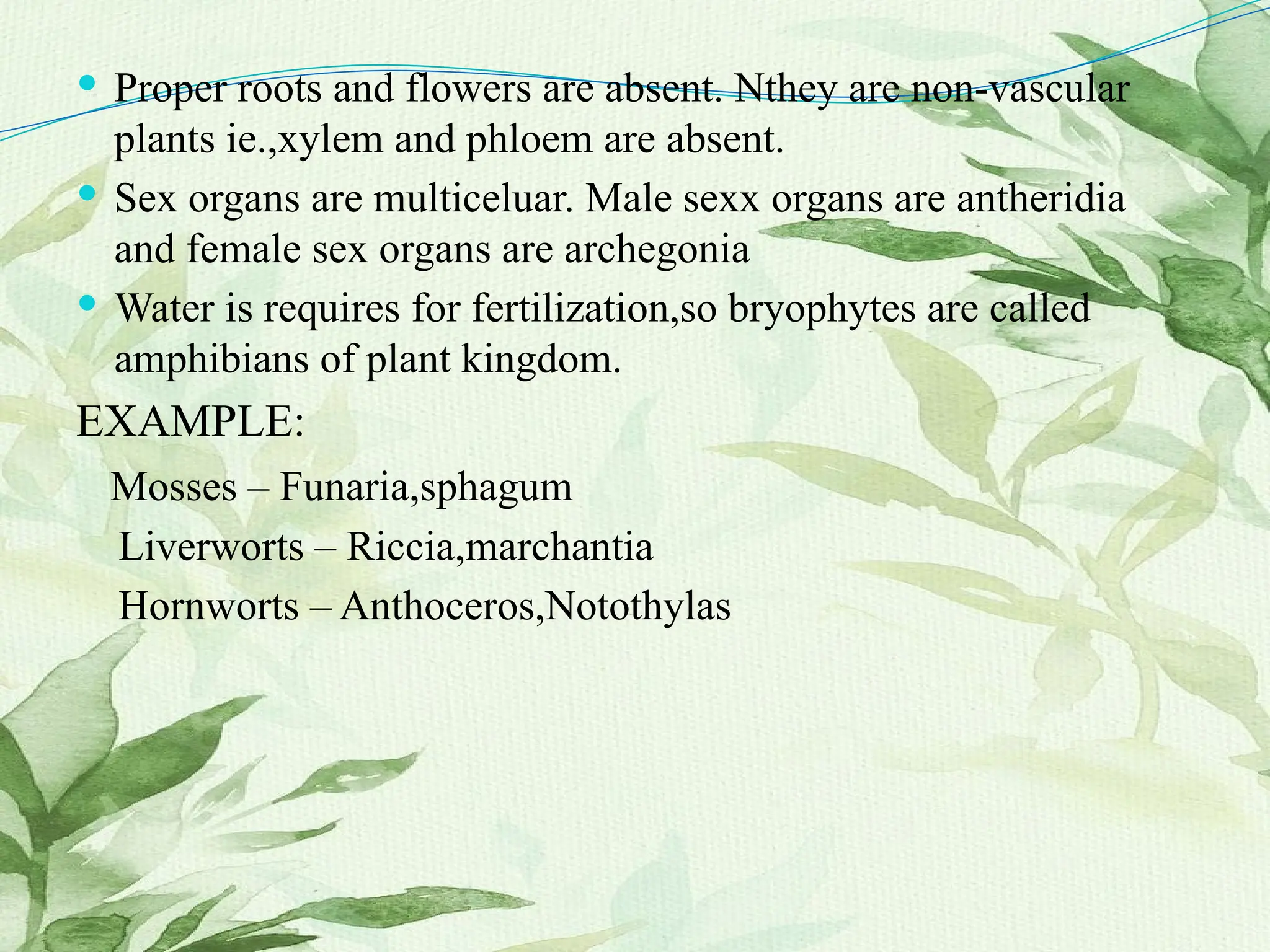 KINGDOM PLANTAE FIVE KINGDOM CLASSIFICATION | PPTX