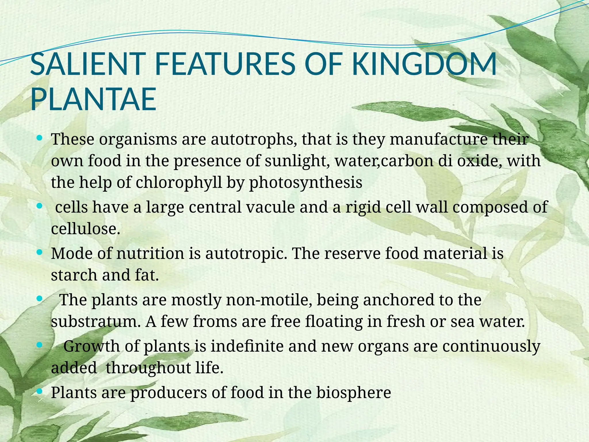 KINGDOM PLANTAE FIVE KINGDOM CLASSIFICATION | PPTX