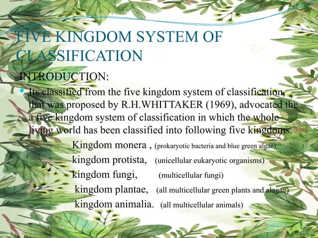 KINGDOM PLANTAE FIVE KINGDOM CLASSIFICATION | PPT