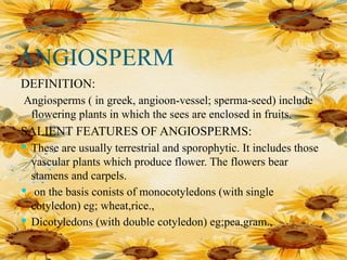 KINGDOM PLANTAE FIVE KINGDOM CLASSIFICATION | PPTX