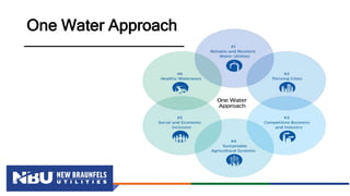 One Water Strategies in New Braunfels: Managing Demand to Increase ...