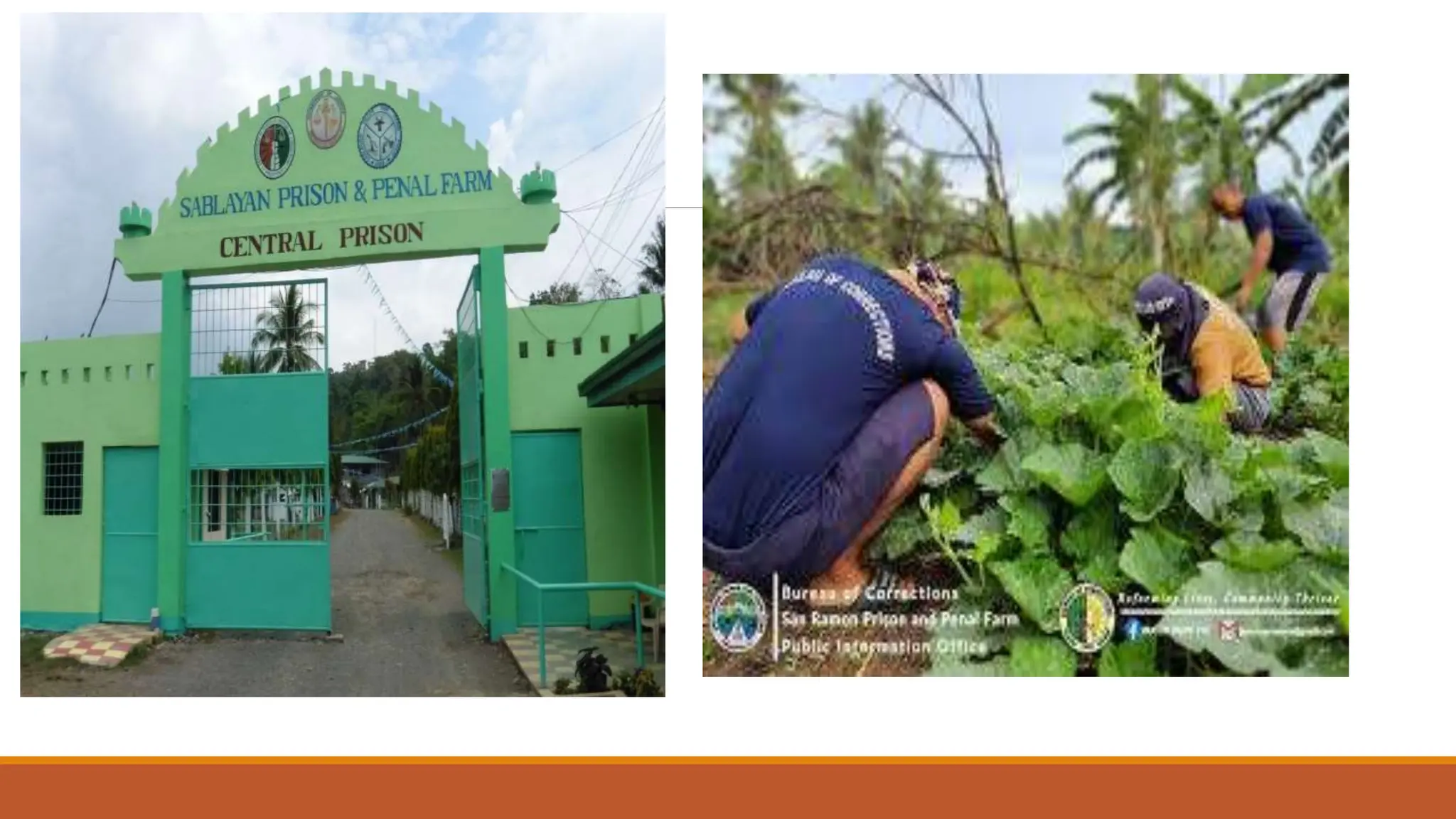 7 Penal Institutions under Bureau of Corrections (BUCOR).pptx