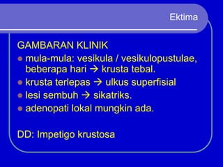 Penyakit kulit yang disebabkan oleh Bakteri (Pioderma) | PPT