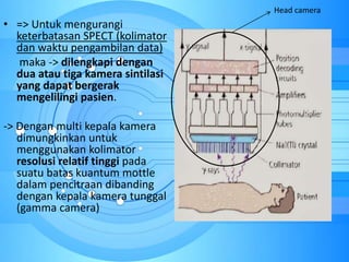 7@pet dan spect | PPTX