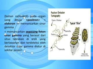 7@pet dan spect | PPTX