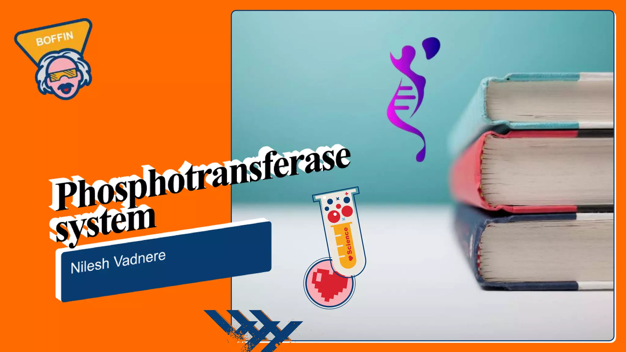 Solute uptake, Group Translocation, Phosphotransferase system, PTS | PPTX
