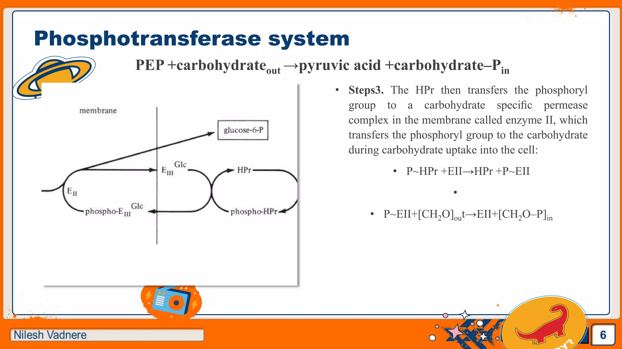 Solute uptake, Group Translocation, Phosphotransferase system, PTS | PPTX