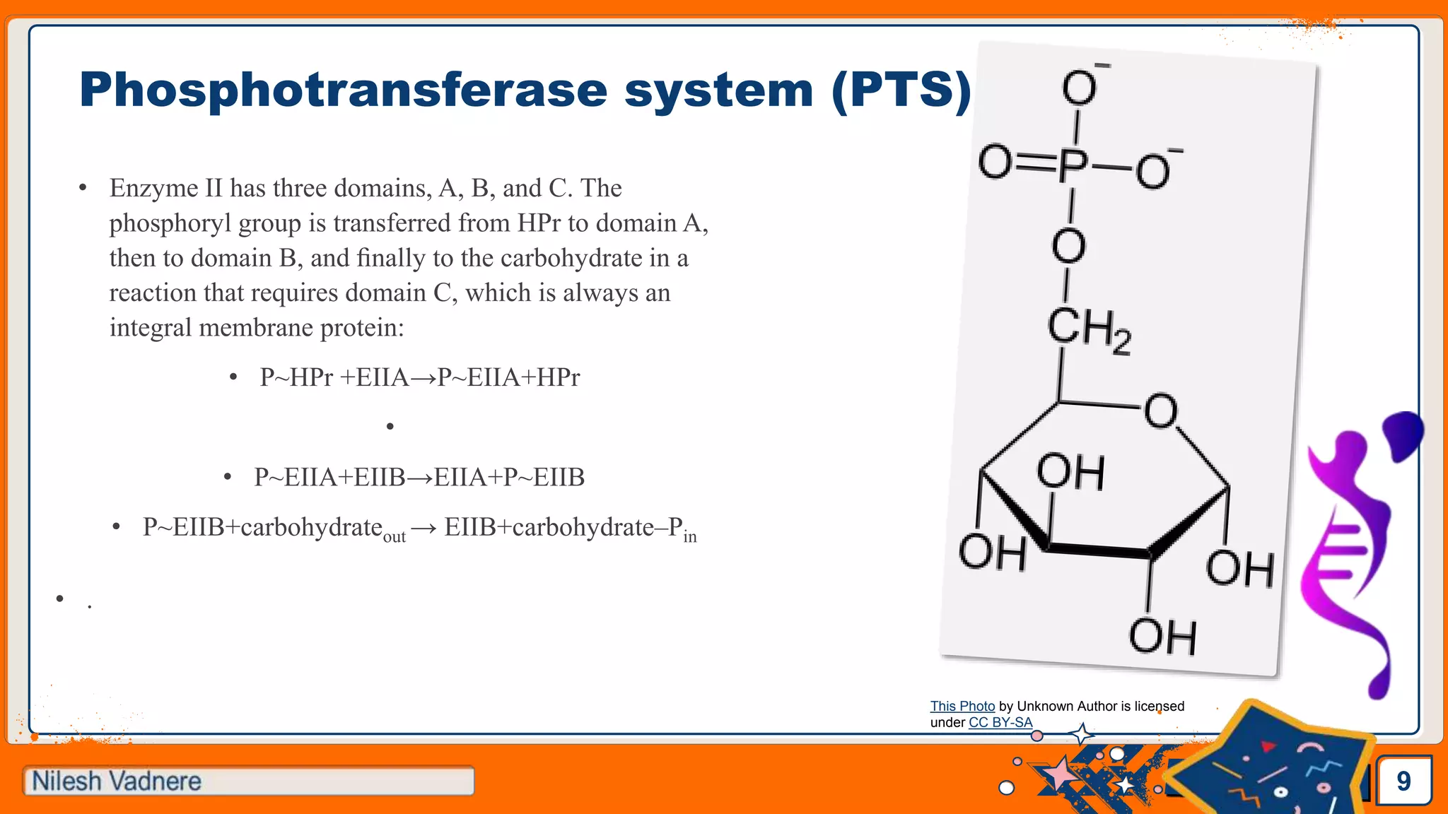 Solute uptake, Group Translocation, Phosphotransferase system, PTS | PPTX