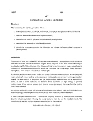 7 photosynthesis | DOC | Science