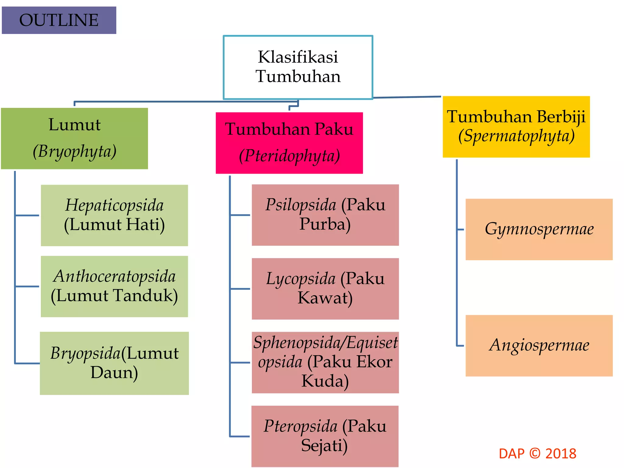 Kingdom Plantae | PPTX