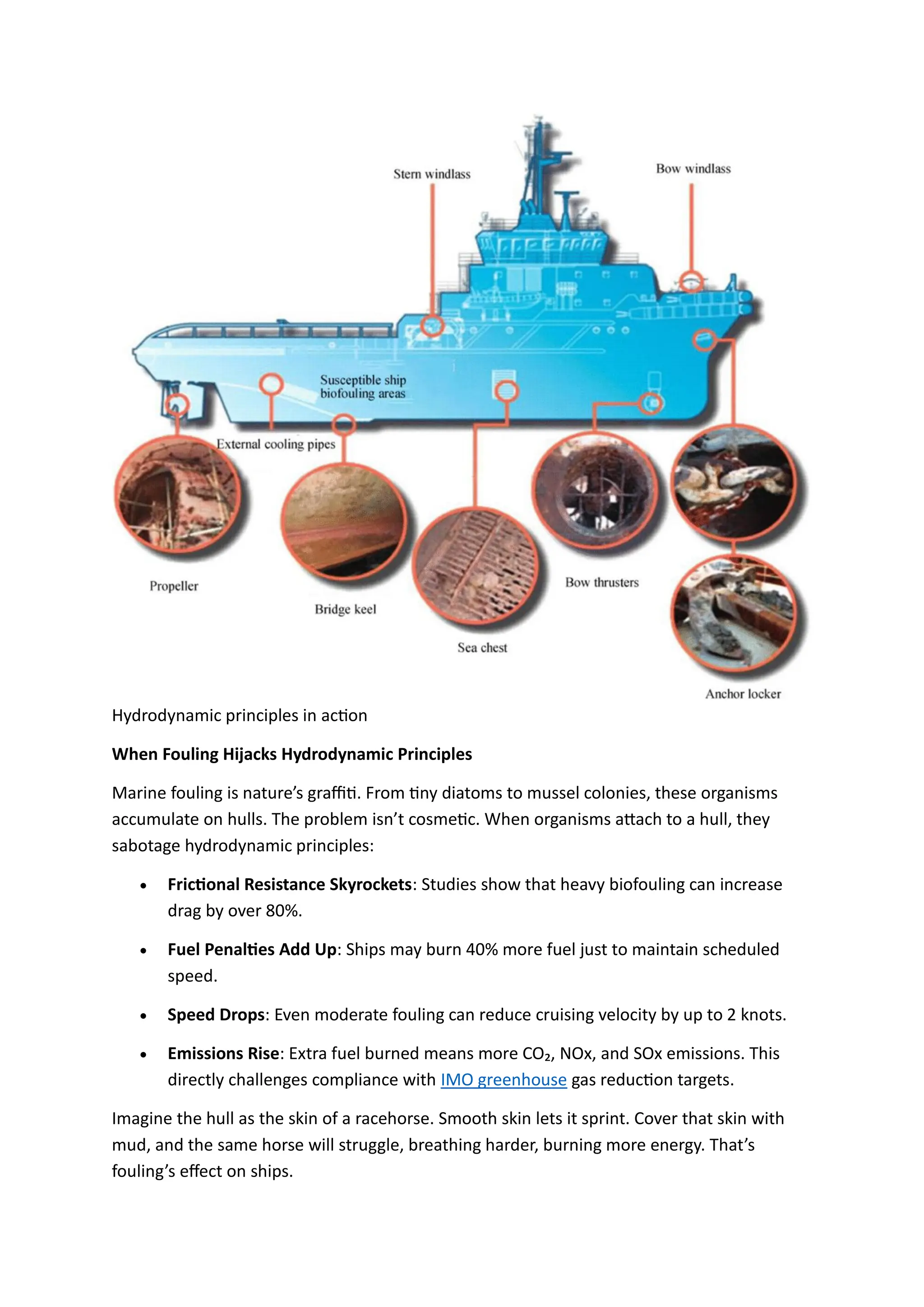 7 Powerful Hydrodynamic Principles to Boost Ship Speed - Marine Super ...