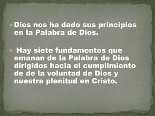 7 principios | PPTX