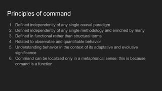 7 principles for command and the neural causation behavior.pptx