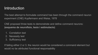 7 principles for command and the neural causation behavior.pptx