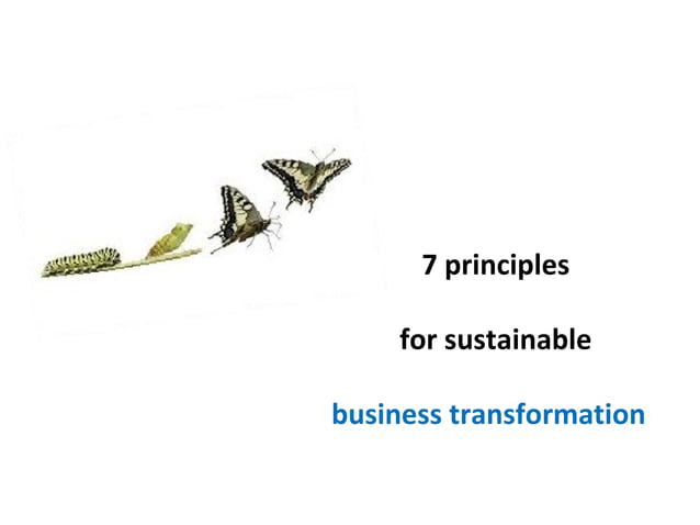 7 principles for sustainable business transformation | PPT