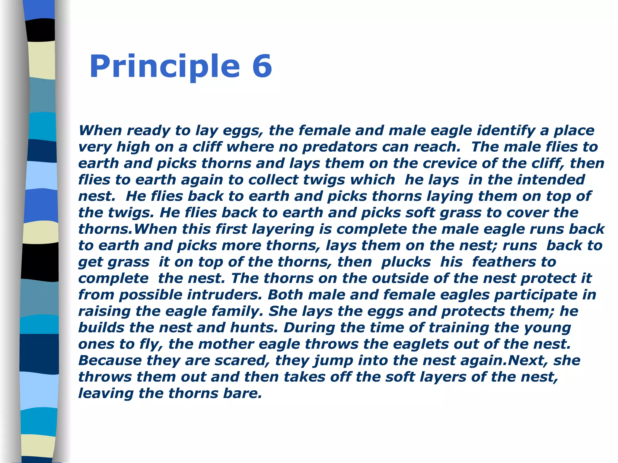 7 Principles Of An Eagle | PPS