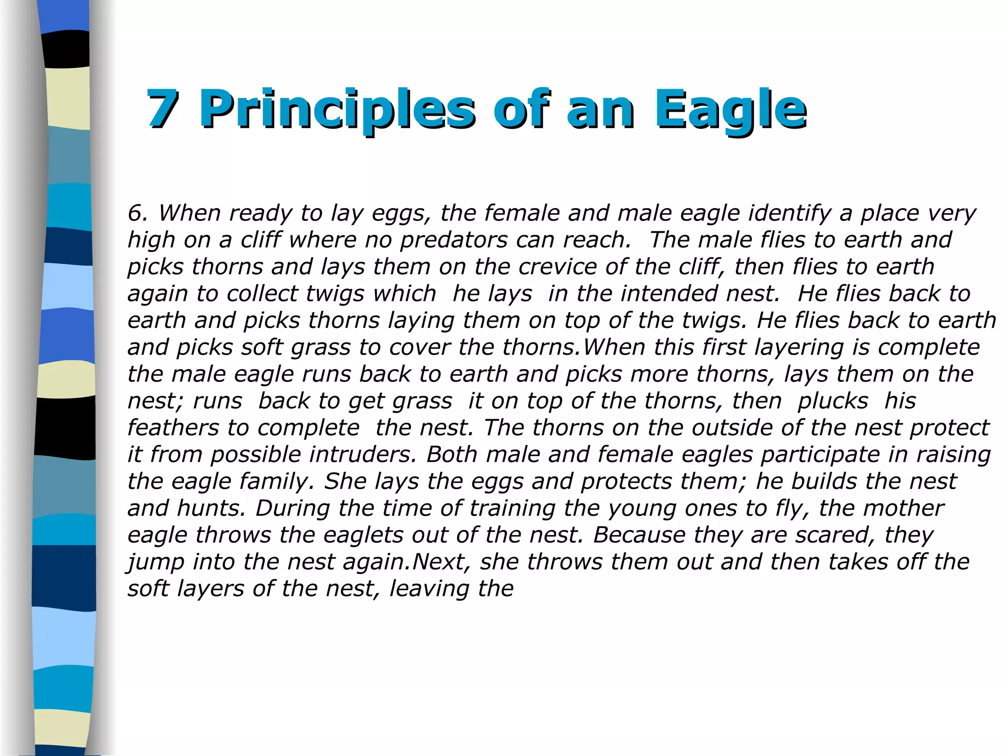 7principles Of An Eagle | PPS