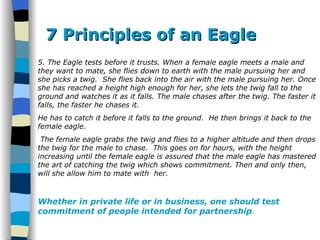 7principles Of An Eagle | PPS | Birdwatching | Hobbies & Interests