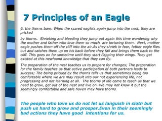 7principles Of An Eagle | PPS | Birdwatching | Hobbies & Interests