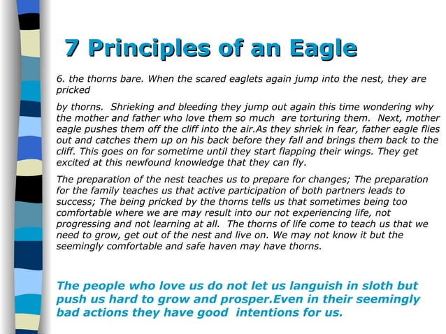7principles Of An Eagle | PPS | Birdwatching | Hobbies & Interests