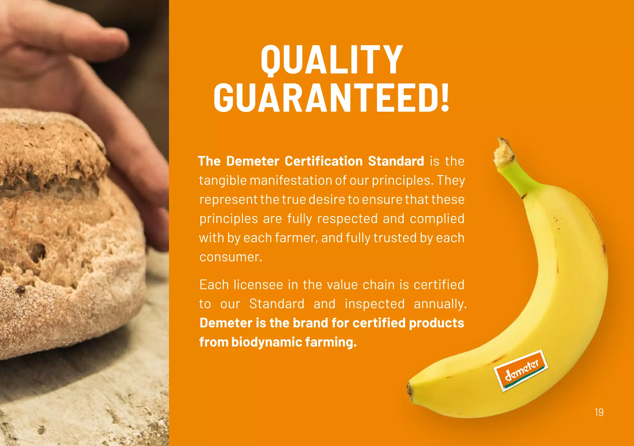 7 PRINCIPLES OF DEMETER.pdf