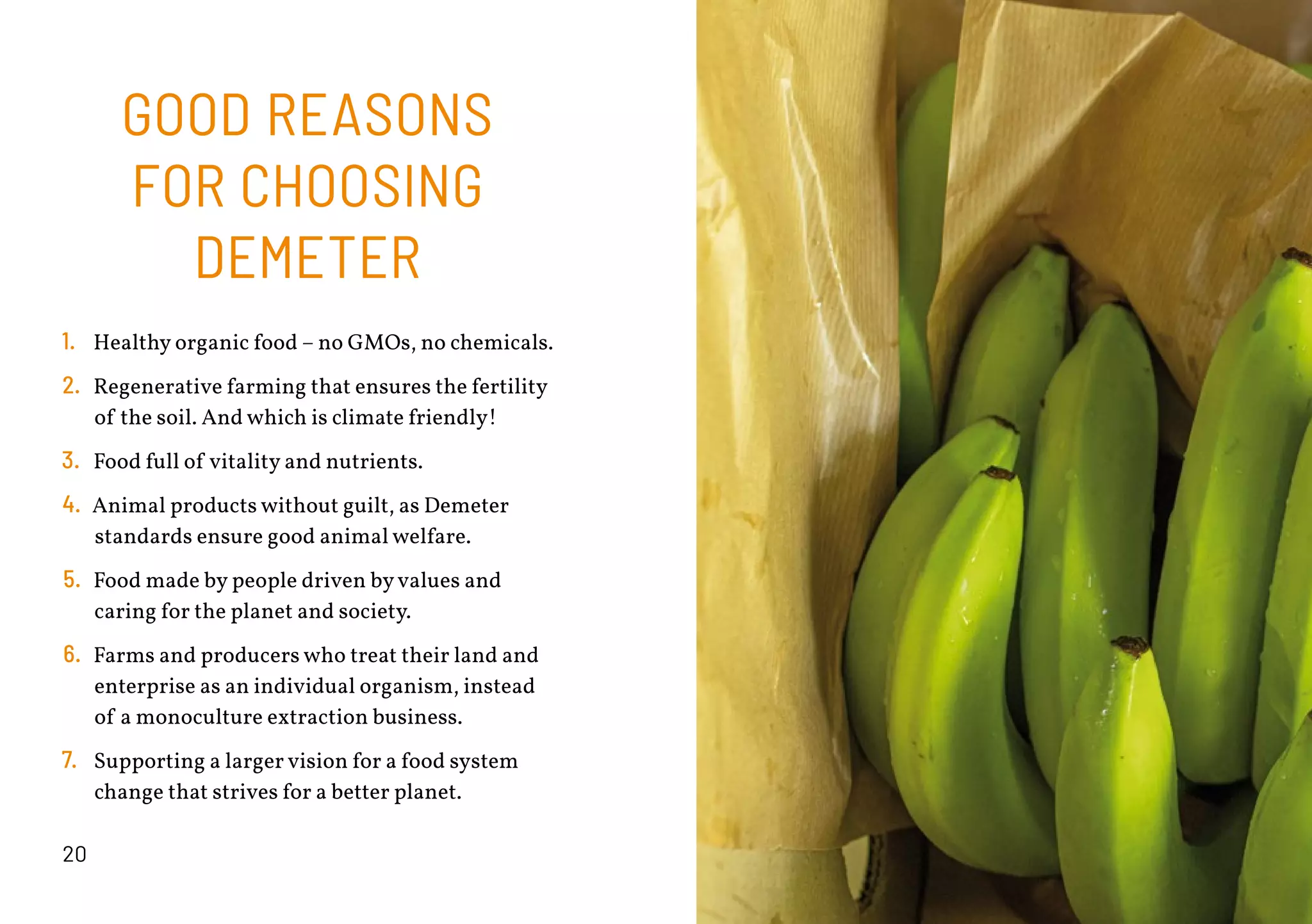 7 PRINCIPLES OF DEMETER.pdf