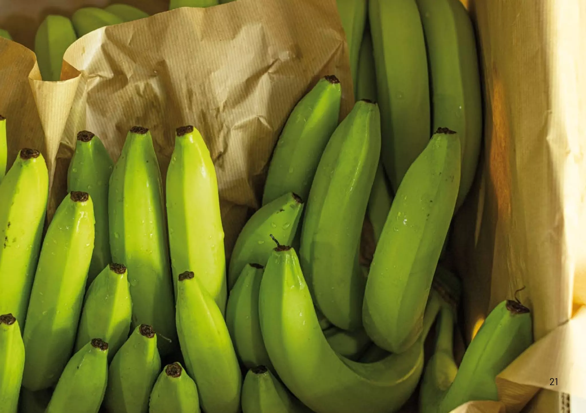 7 PRINCIPLES OF DEMETER.pdf