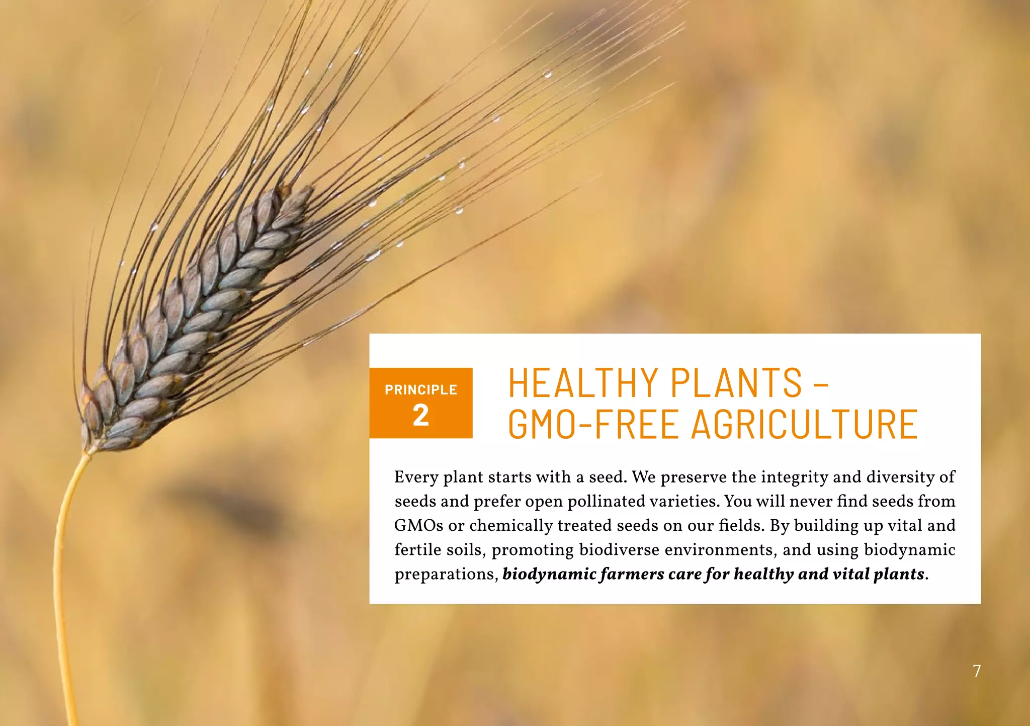 7 PRINCIPLES OF DEMETER.pdf